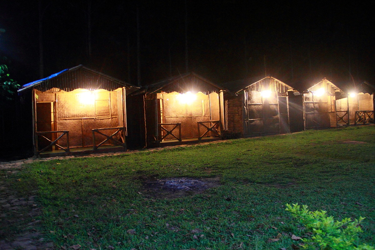 BAMBOO HUTS | Deep Jungle Home