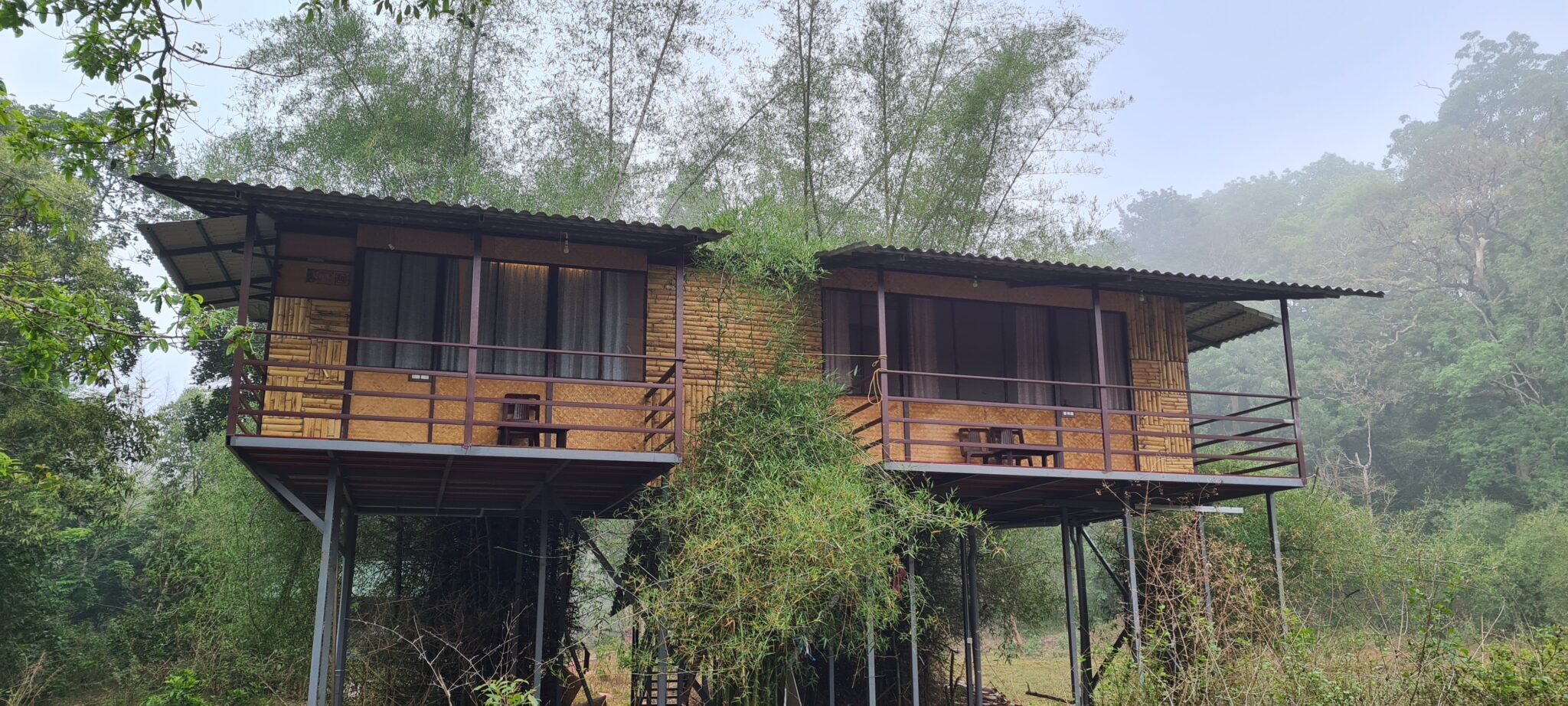Bamboo Machan Tree House Bandipur Masinagudi