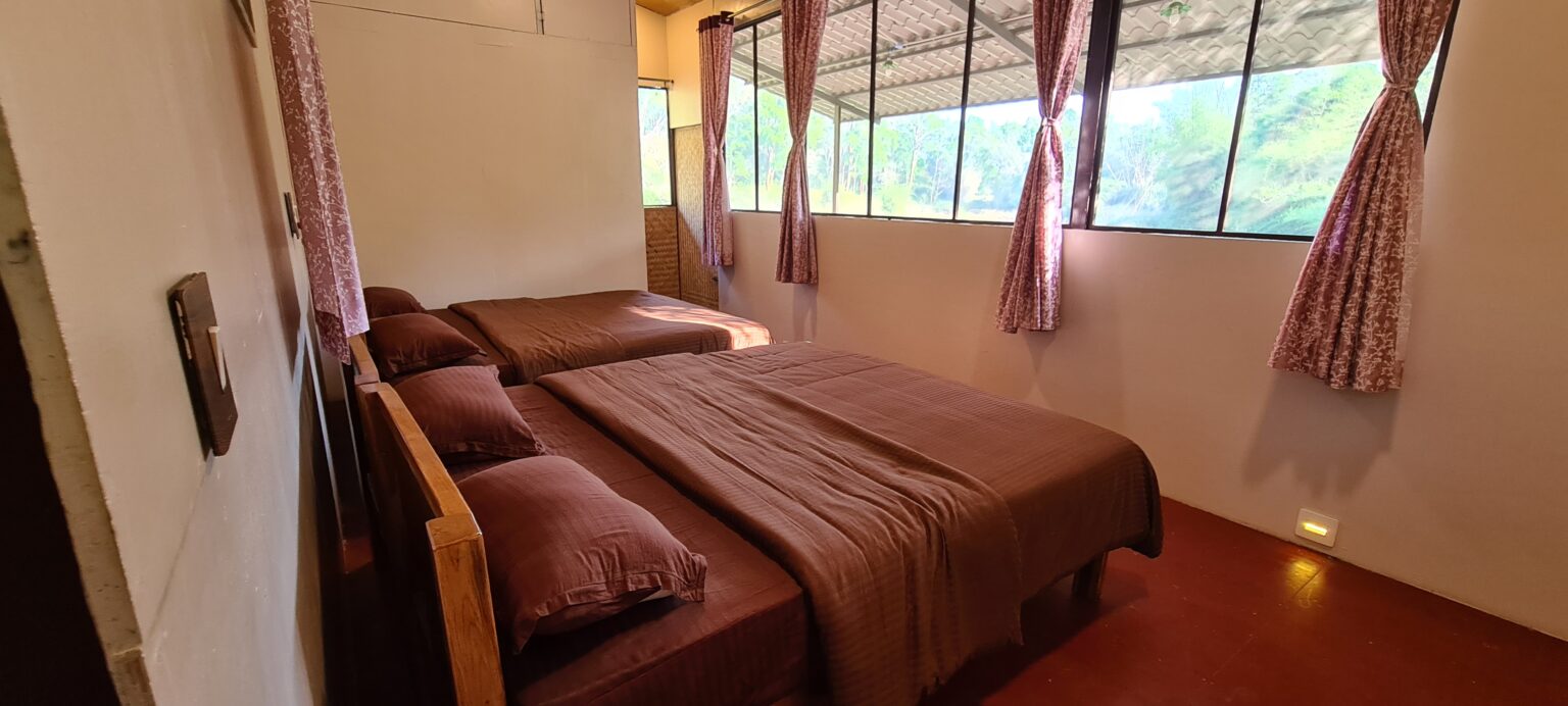 Bamboo Machan Tree House Bandipur Masinagudi