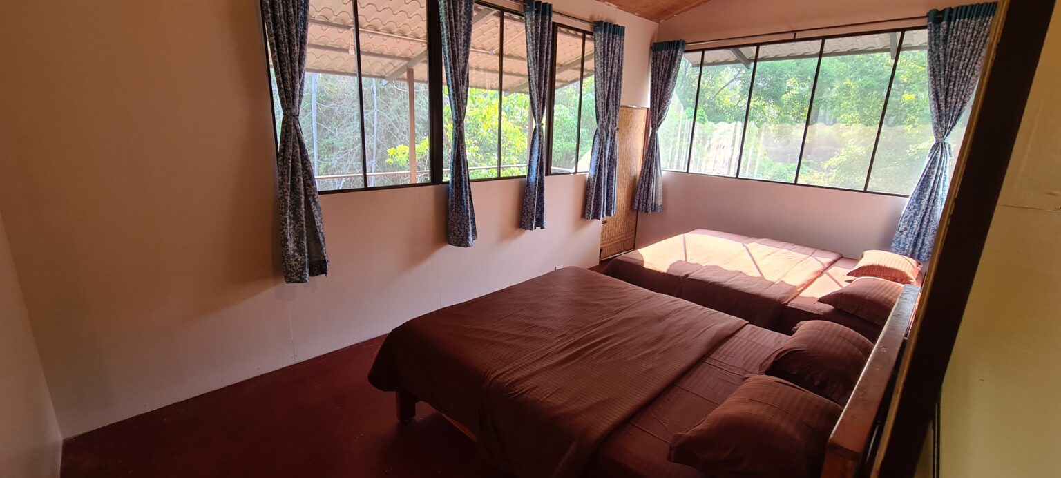 Bamboo Machan Tree House Bandipur Masinagudi