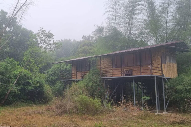 Tree House Bamboo Machan - Deep Jungle Home