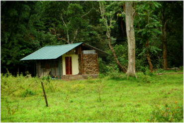 A Travel Guide to Bandipur National Park: Explore the Wilderness - Deep ...